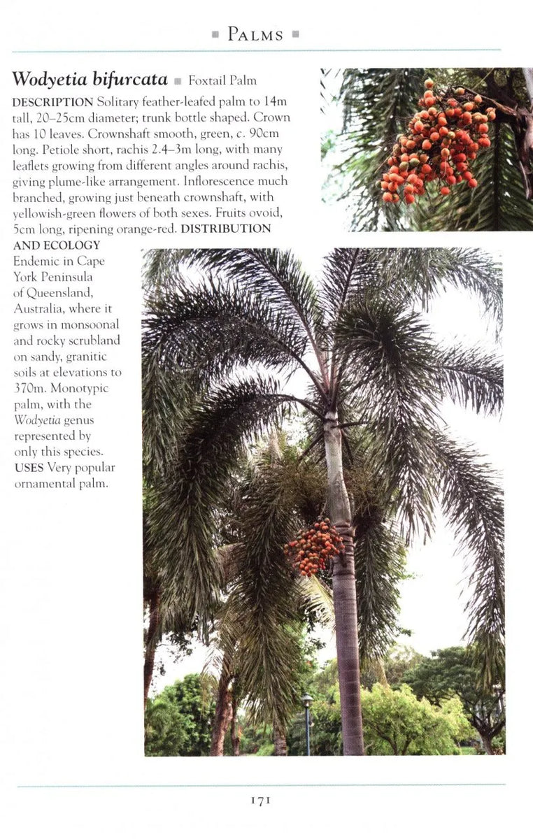 Naturalist’s Guide to the Trees of Southeast Asia (Guan) 2019